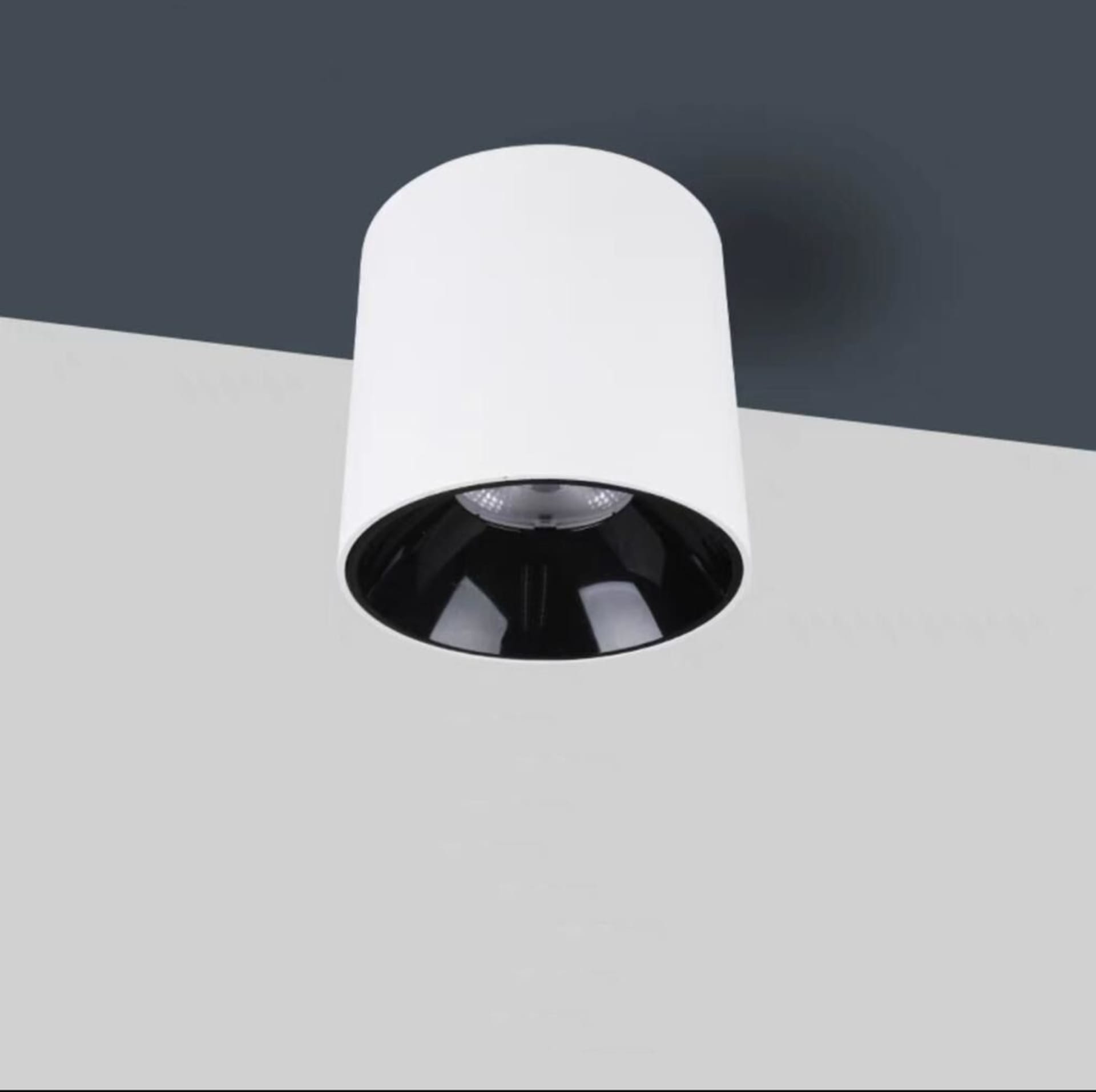 VENUS GU10 Fixture 20 x GU10 Surface-mounted frame - cylindrical ...